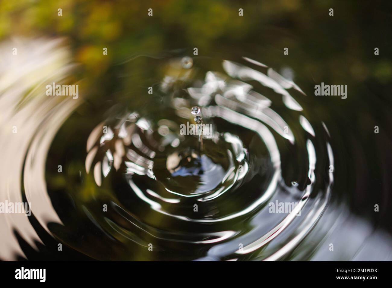 A water drop splashing in a pond surface Stock Photo - Alamy