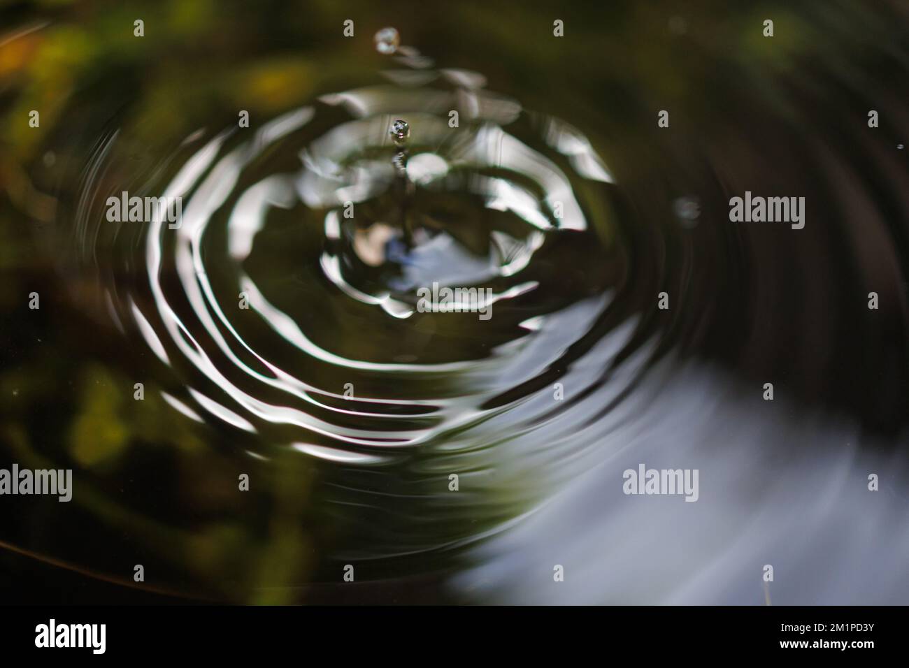A water drop splashing in a pond surface Stock Photo - Alamy