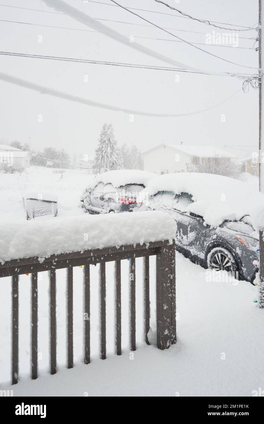 A major snowstorm impacts Atlantic Canada on December 13, 2022. This ...