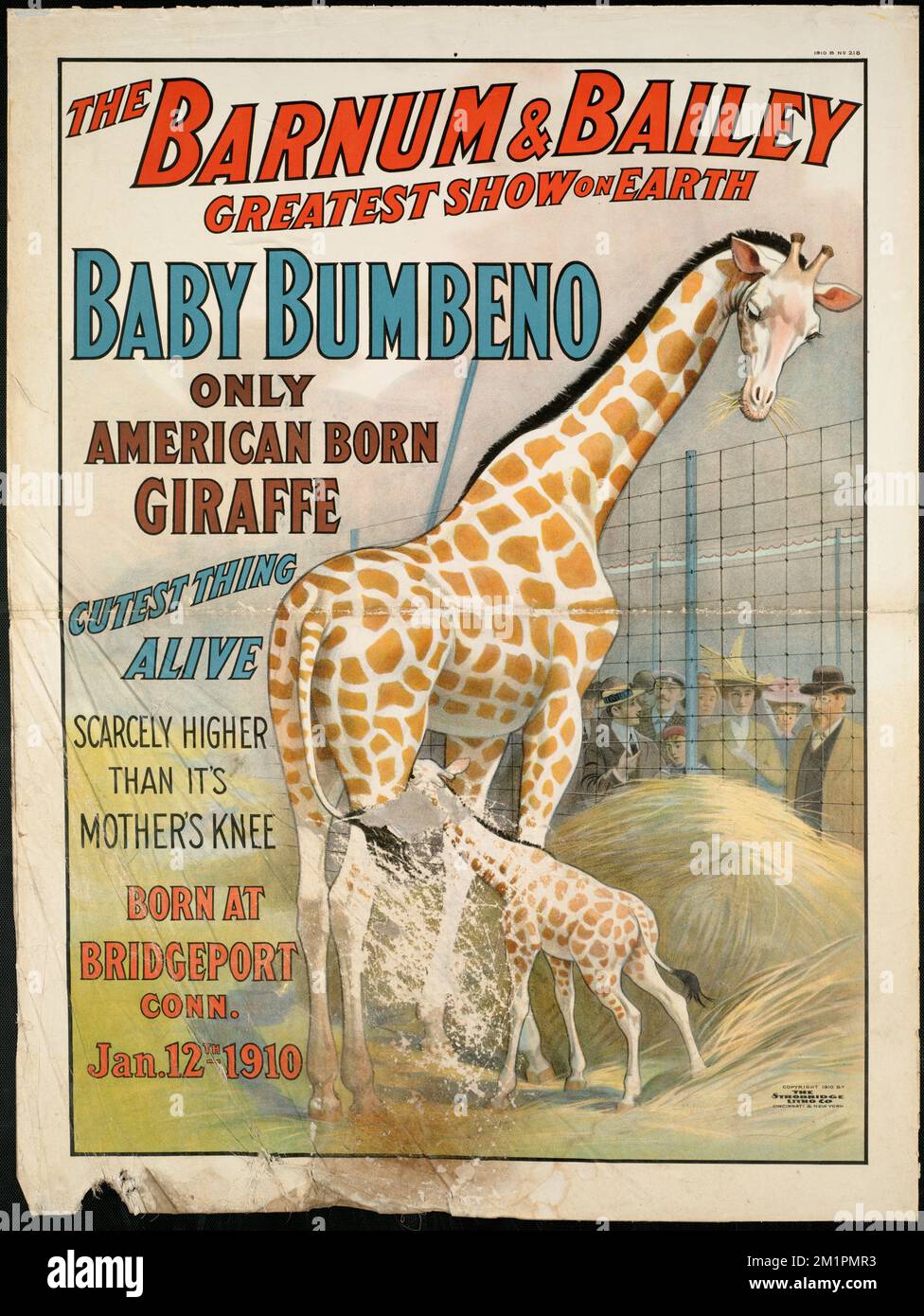 The Barnum & Bailey greatest show on earth : Baby Bumbeno, only ...