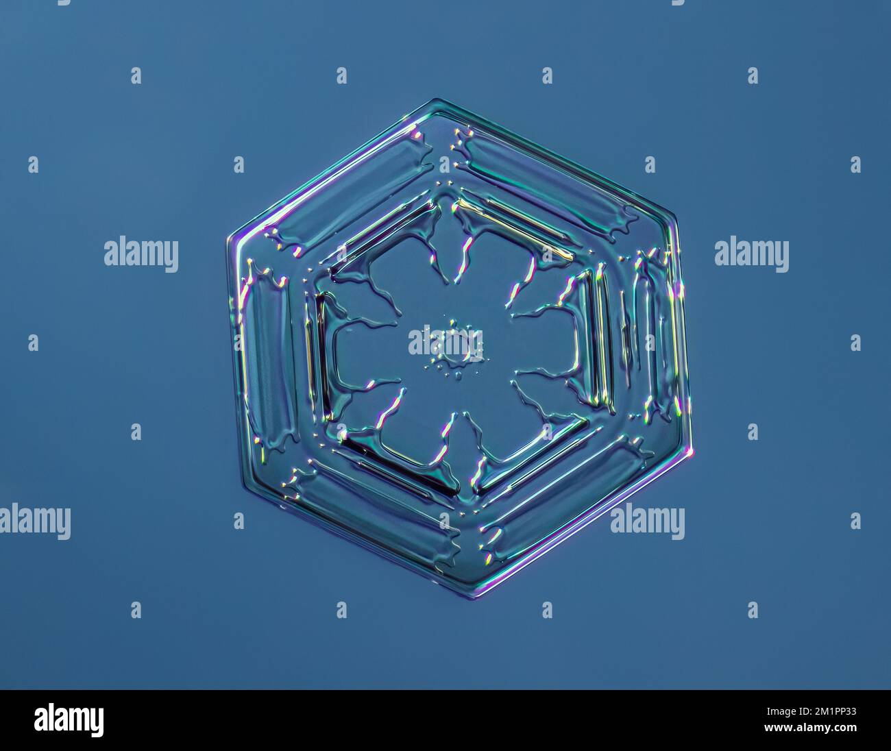 Snowflake on smooth gradient background. Macro photo of real snow ...