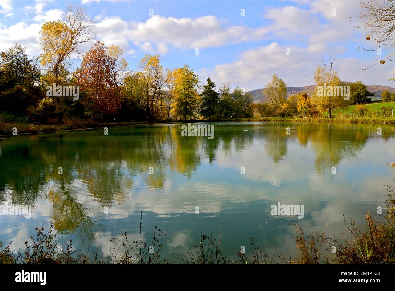Small lake in the Mandria park Turin Stock Photo - Alamy