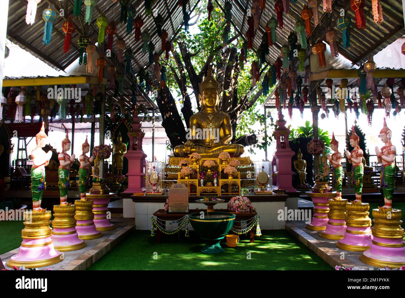 Phra Si Ariya Mettrai buddha or Bodhisattva Maitreya statues for thai ...