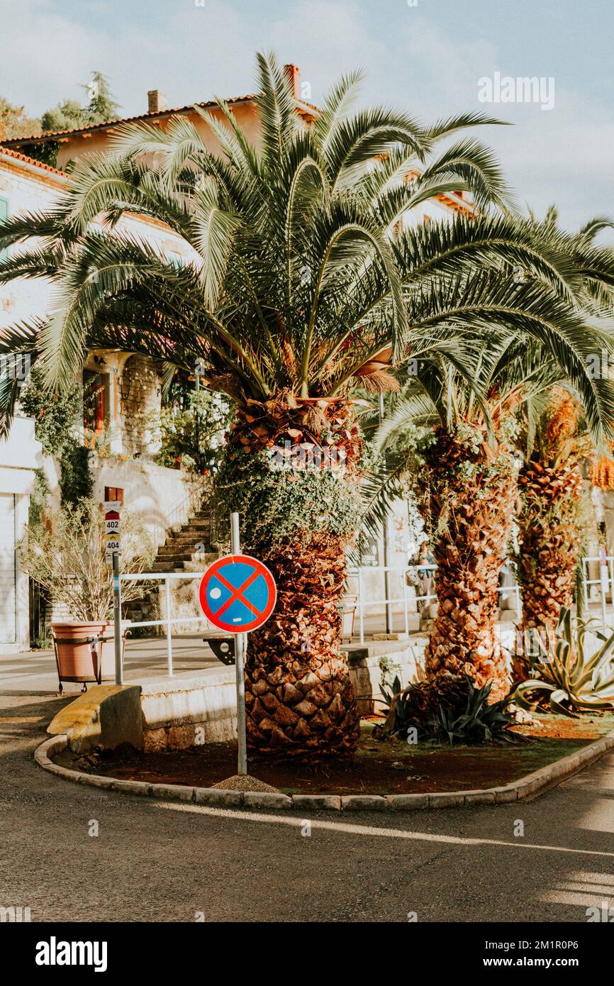 Road sign and palm trees hi-res stock photography and images - Alamy
