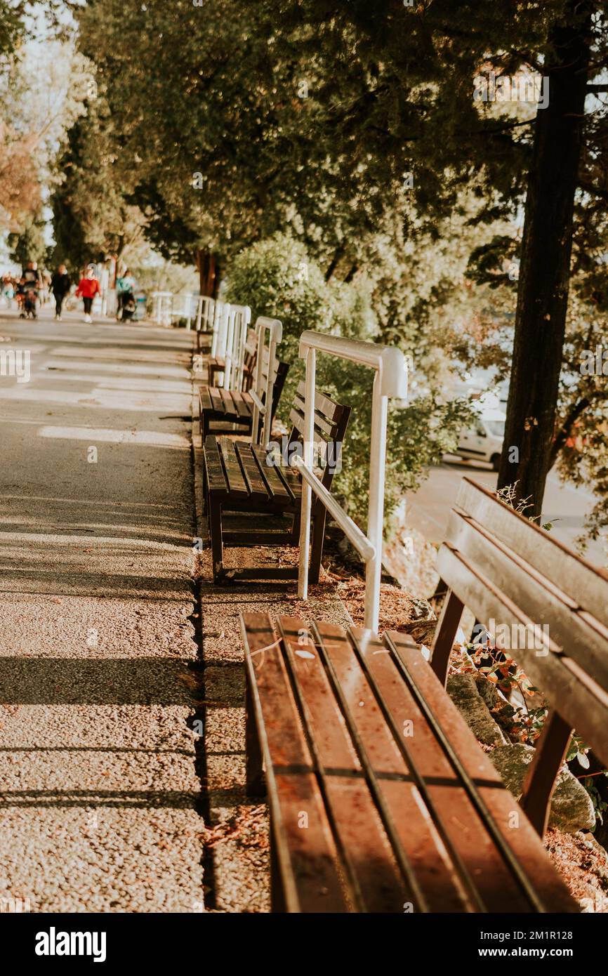 Bench near trees hi-res stock photography and images - Alamy
