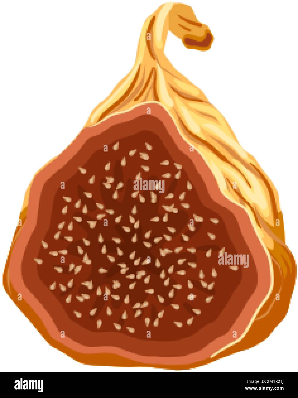 Dried ripe yellow pineapple Stock Vector Images - Alamy