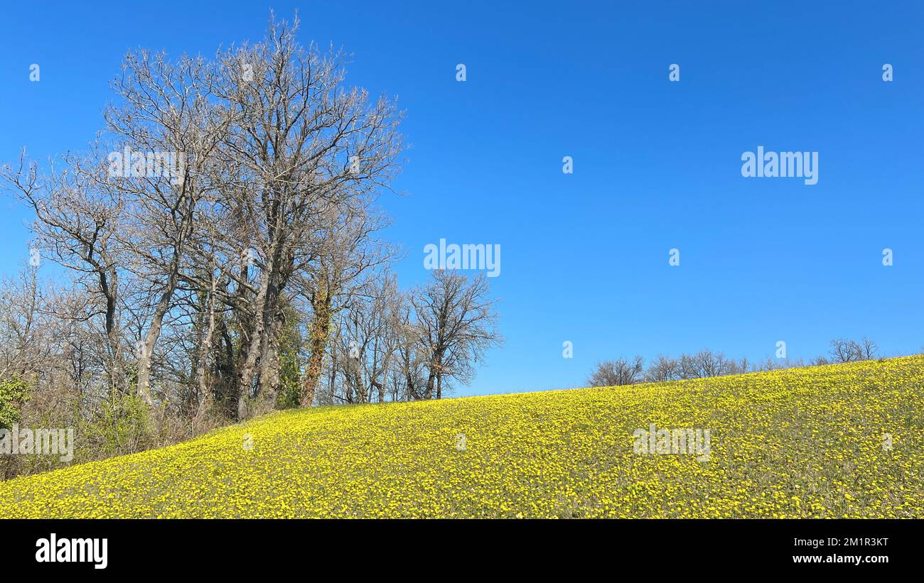 Emilia winery hi-res stock photography and images - Alamy