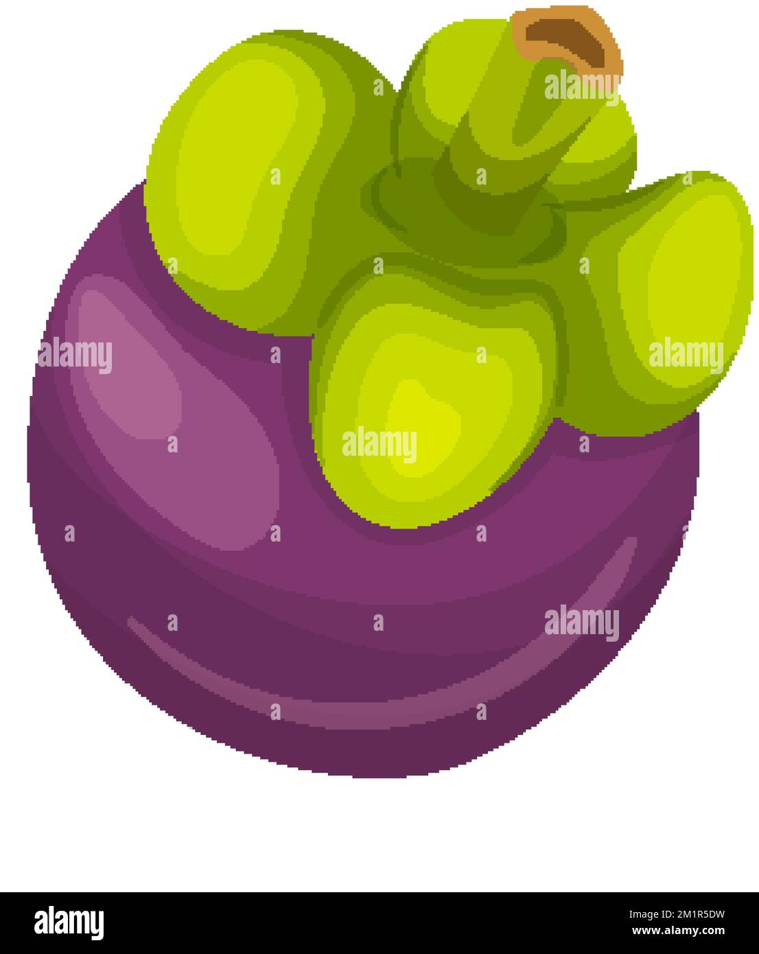 mangosteen fruit cartoon vector illustration Stock Vector Image & Art ...