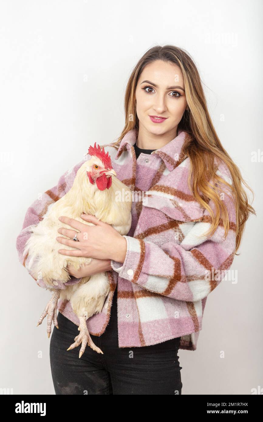 Young rooster hi-res stock photography and images - Alamy