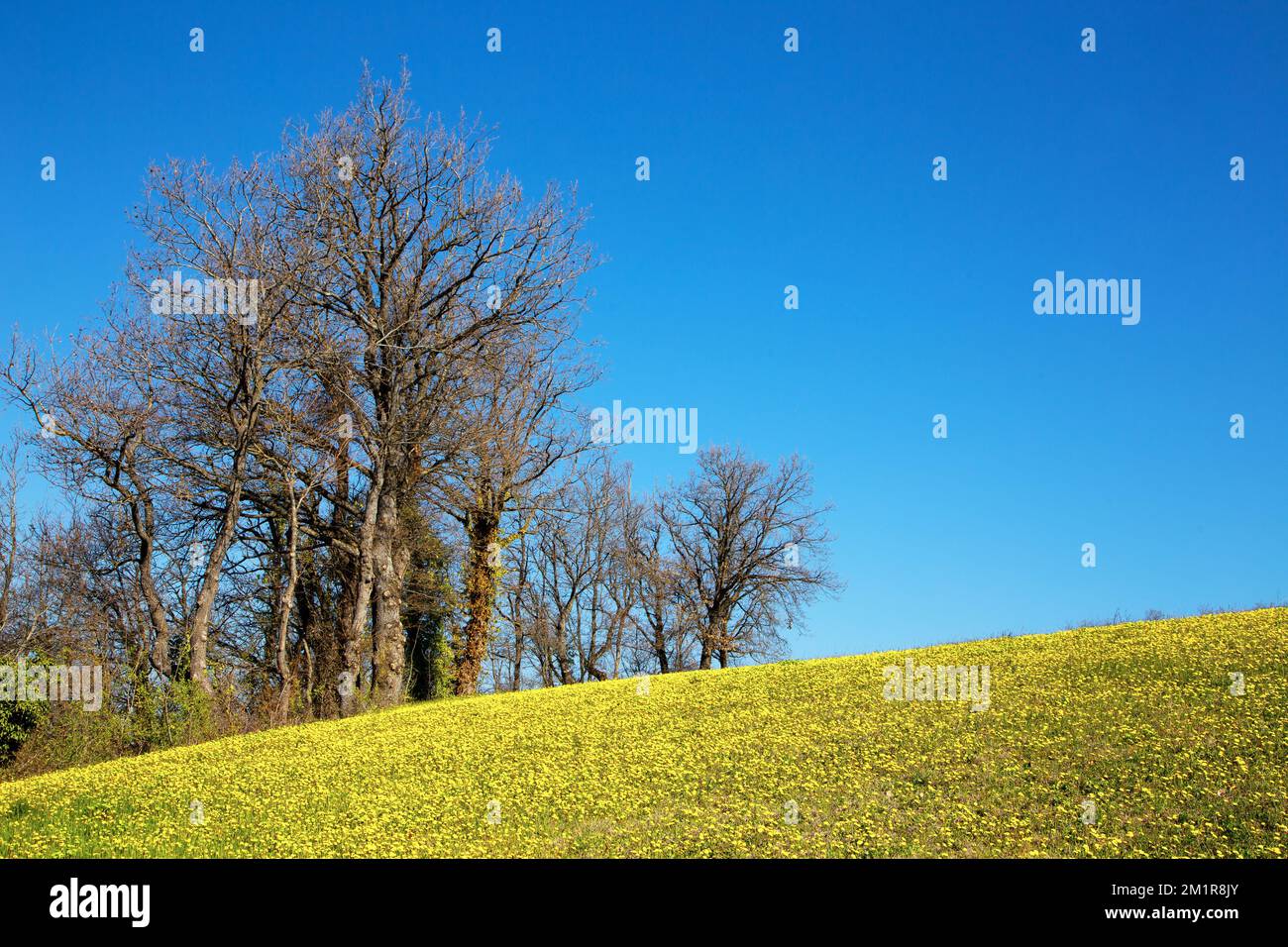 Emilia winery hi-res stock photography and images - Alamy