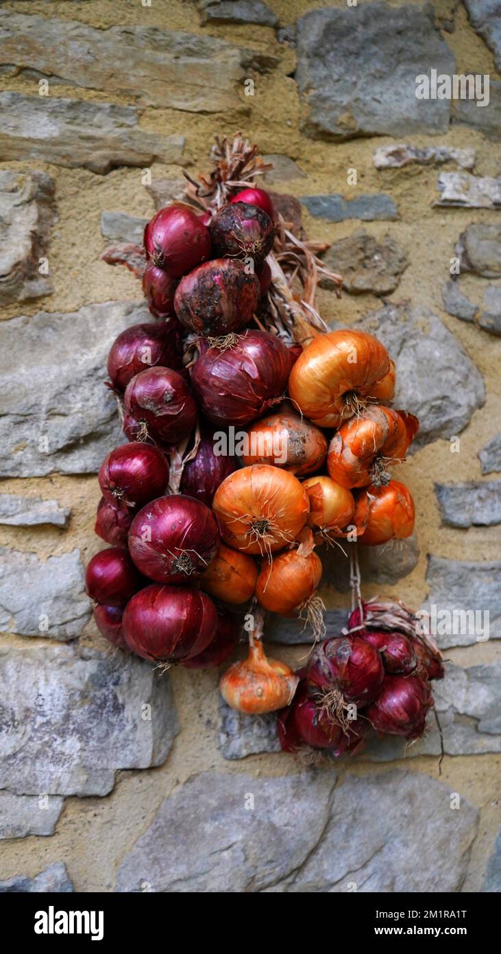 Beautiful onions hanging on an old stone wall Stock Photo - Alamy