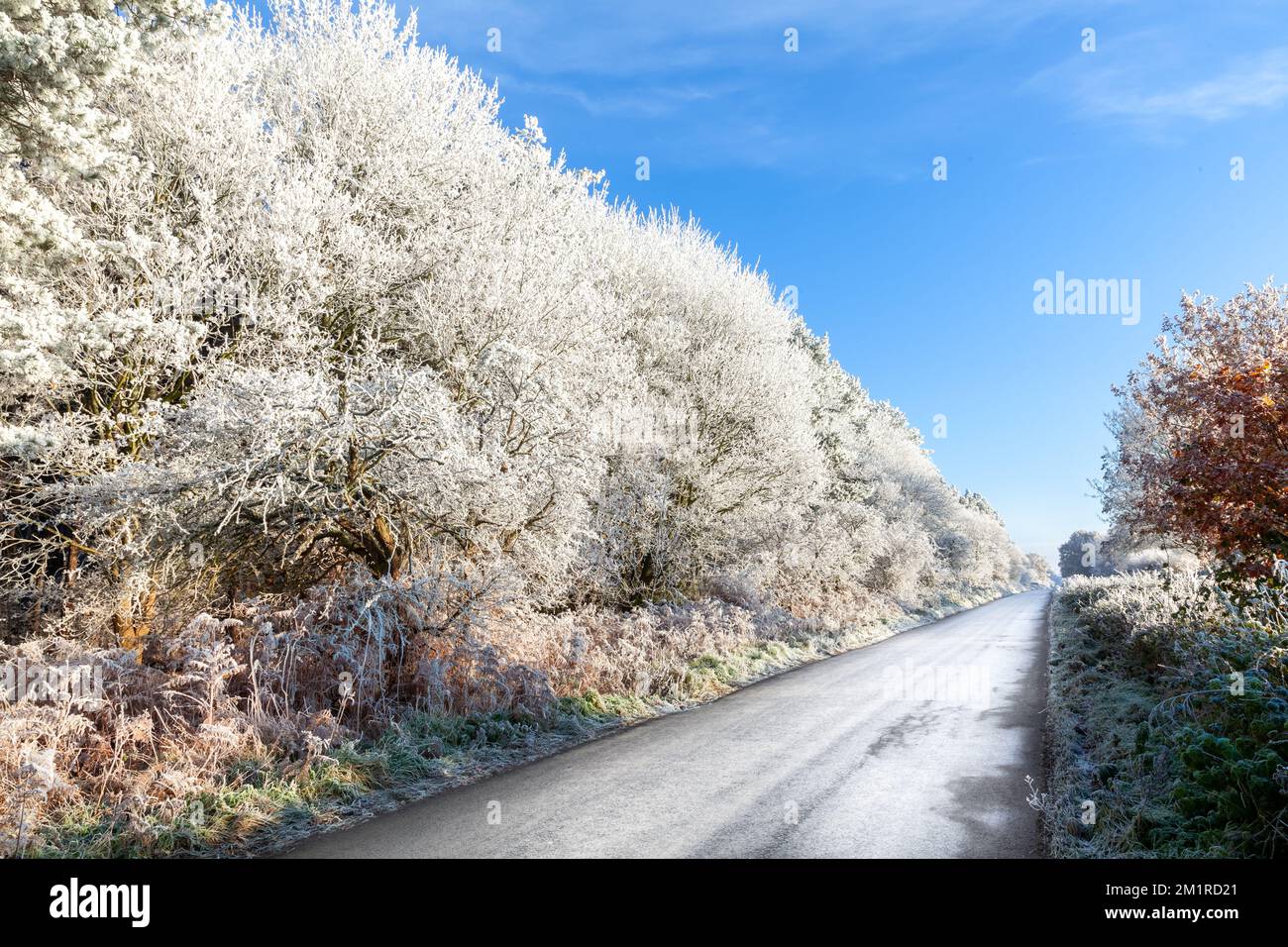 Winter icy road with tree frost on UK rural roads. Icy weather with ...