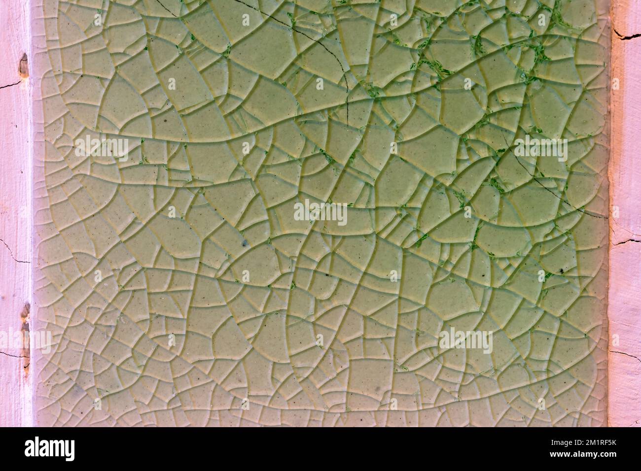 Close up to background and texture of stretch marks cracked on emerald ...