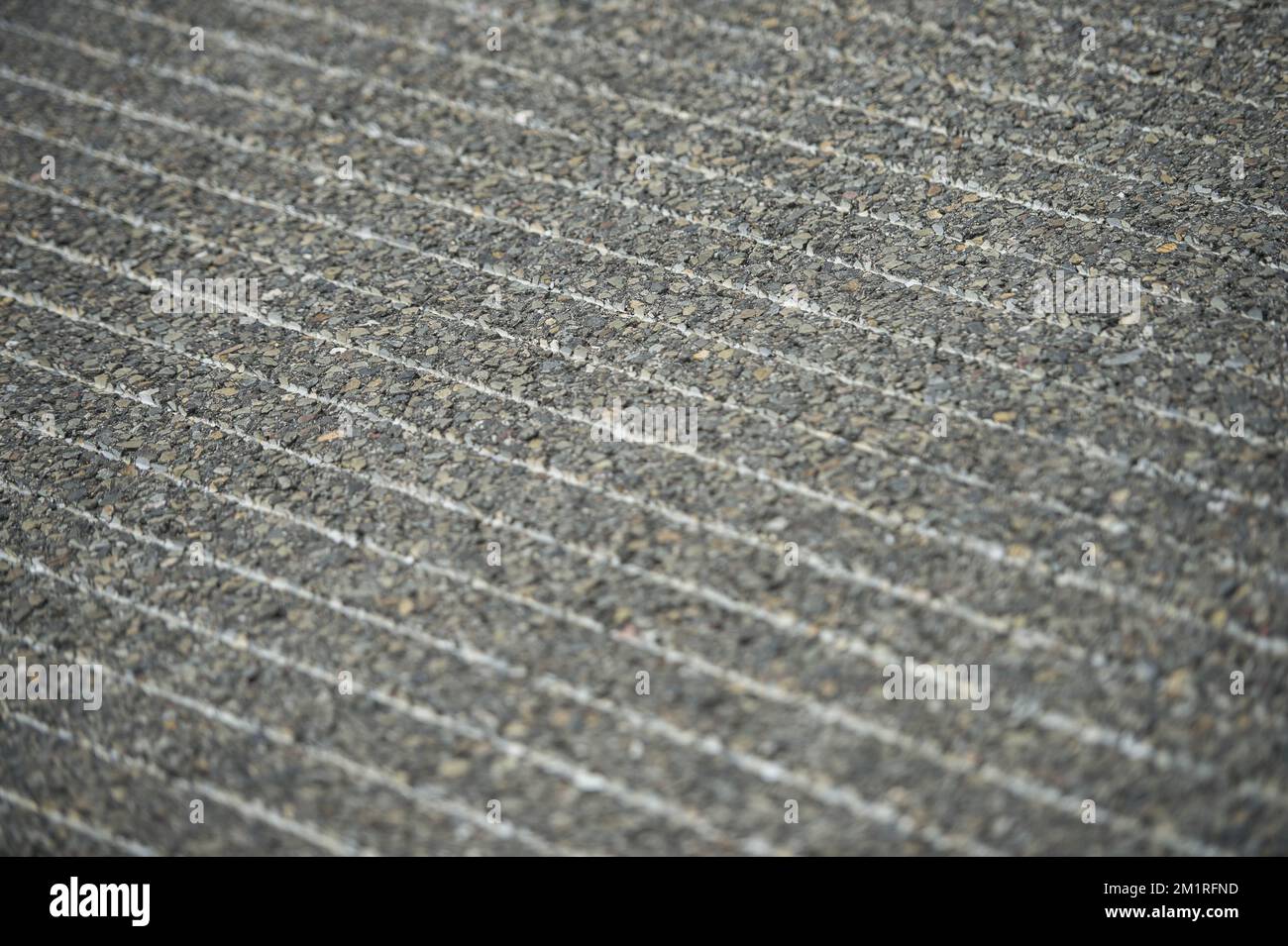 Illustration picture show the track at the starting grid of the Grand ...