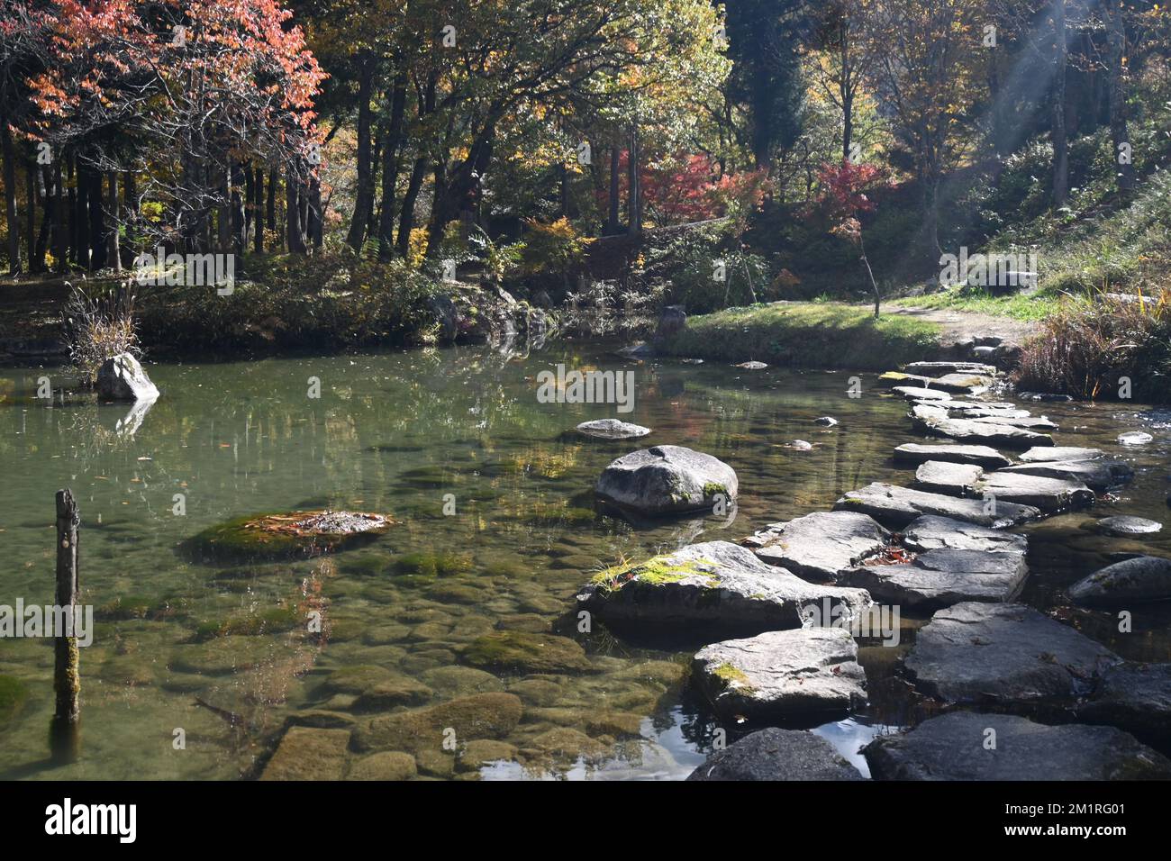 Clear puddle hi-res stock photography and images - Alamy