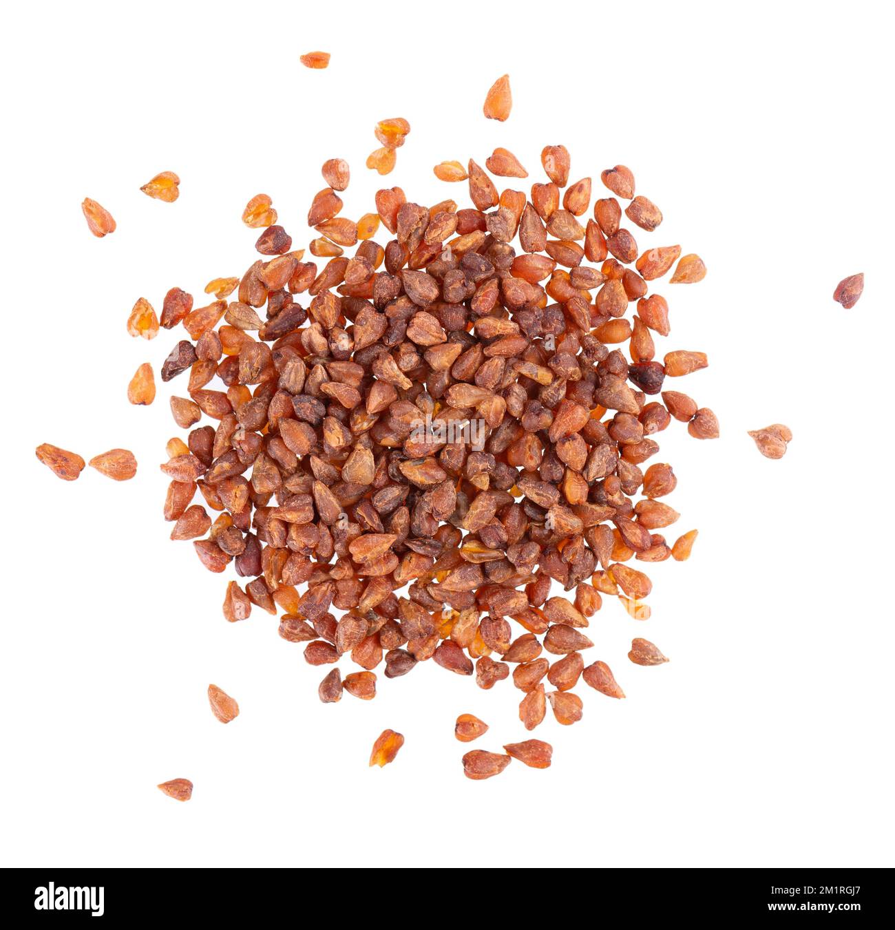 Buckwheat tea isolated on white background. Whole roasted buckwheat ...