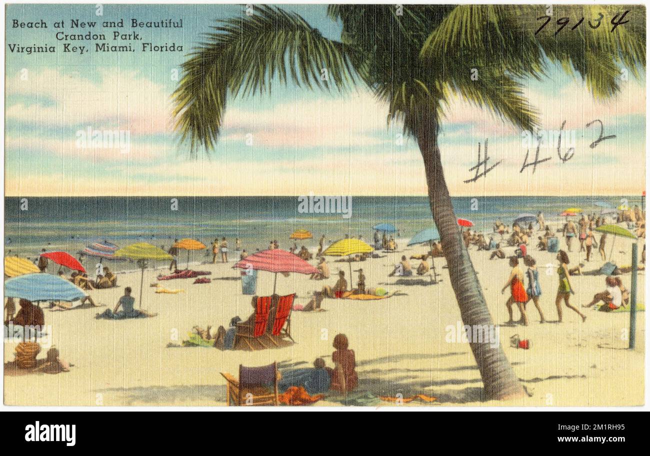 Beach at new and beautiful Crandon Park, Virginia key, Miami, Florida ...