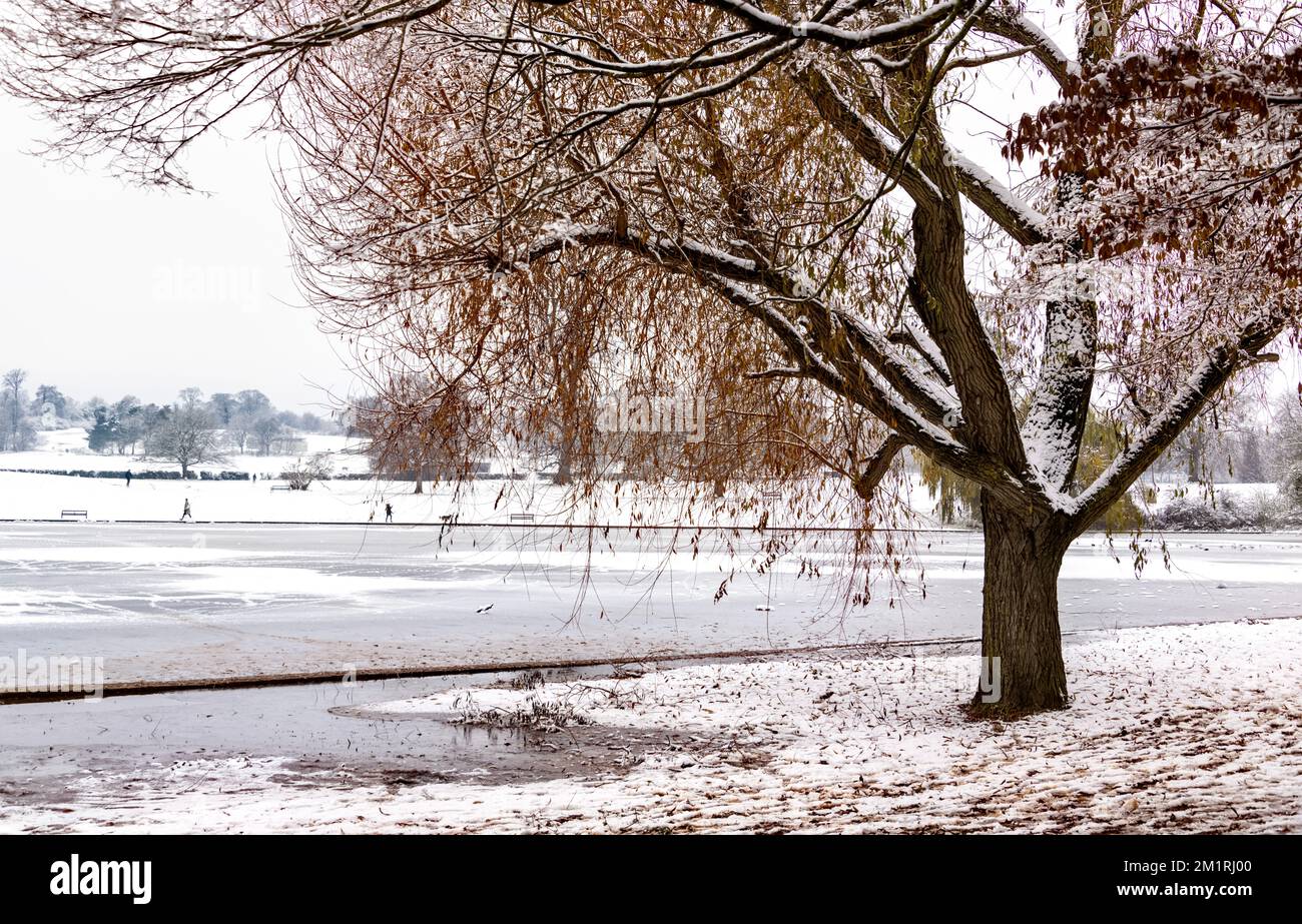 Verulamium Park St. Albans showing the frozen lake and beautiful snow ...