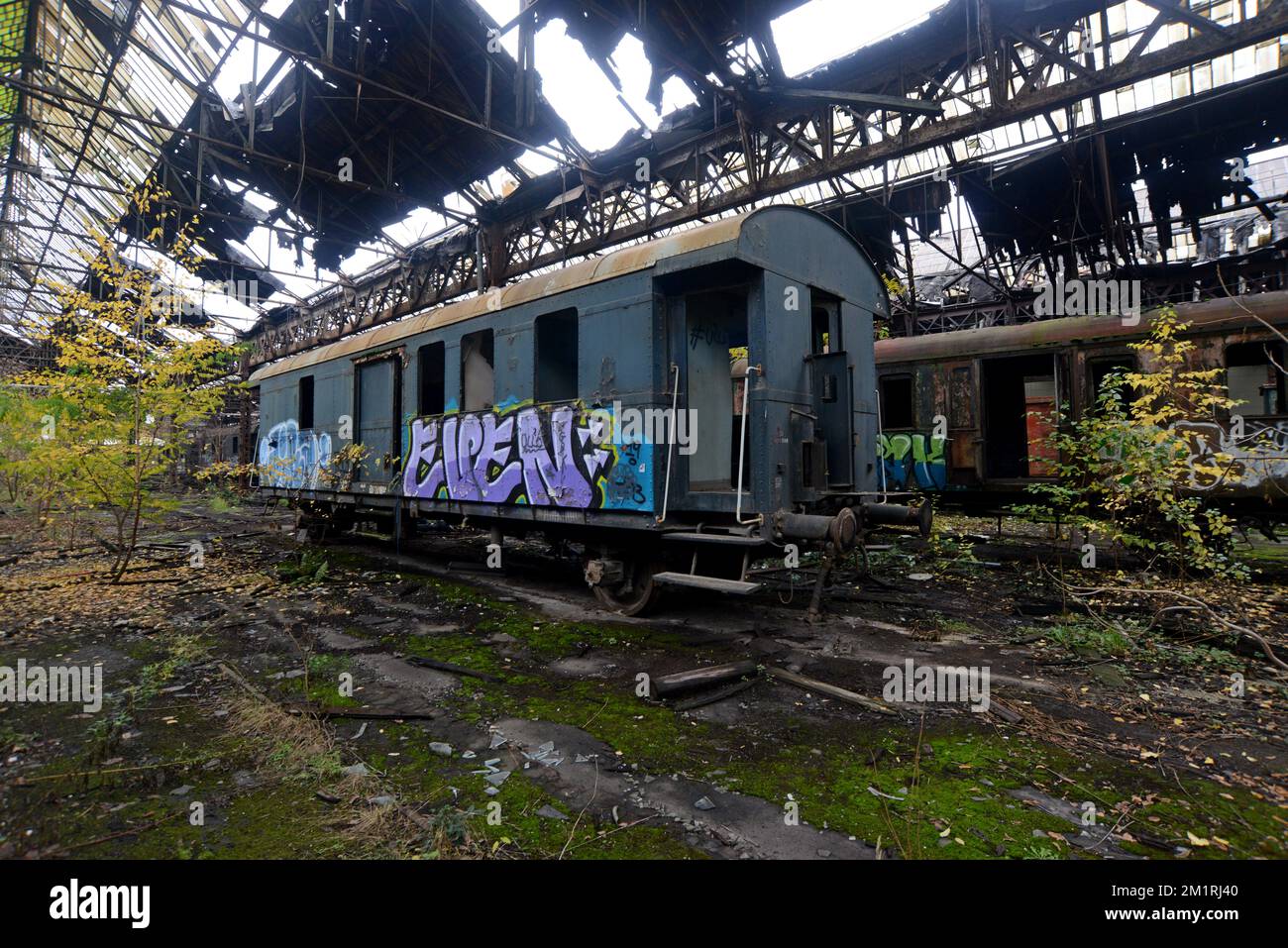 Abandoned derelict railway carriage in the Red Star train Graveyard ...
