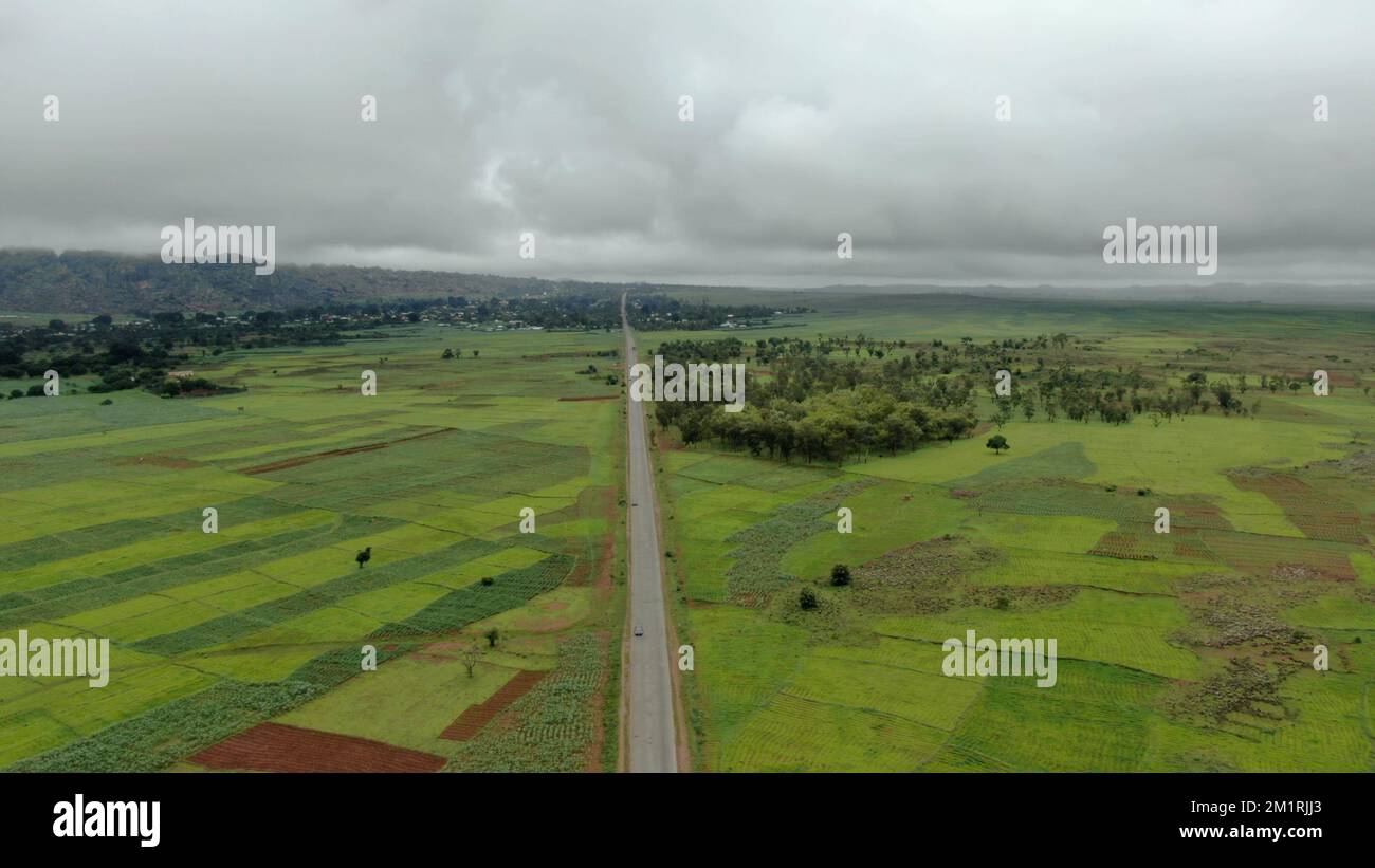Nigeria road trees hi-res stock photography and images - Alamy