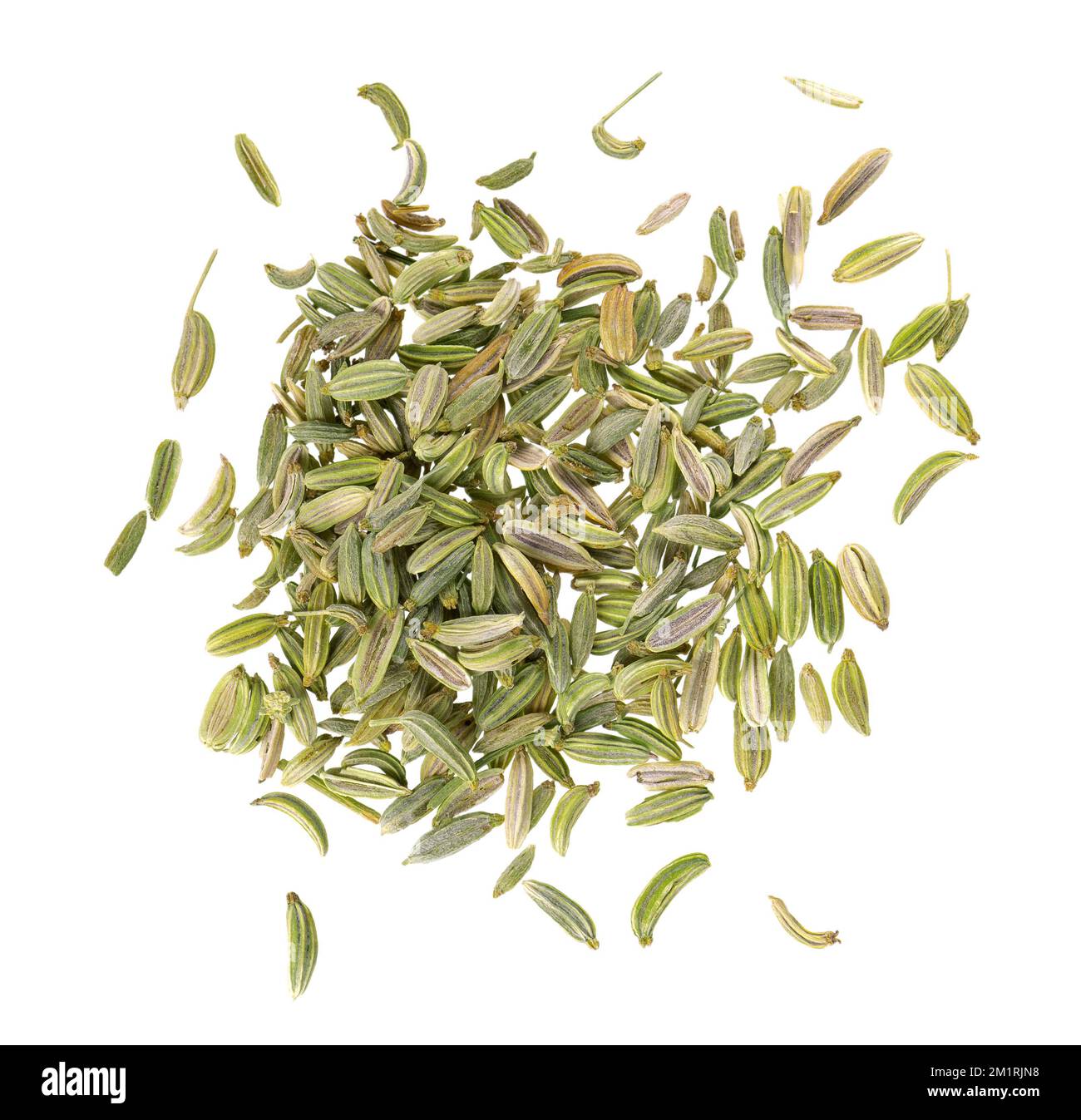 Fennel seeds isolated on white background. Green fennel grains. Spices ...