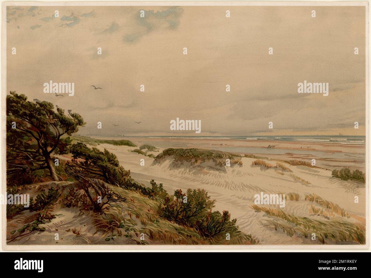 Beach scene , Beaches. Louis Prang & Company Collection Stock Photo - Alamy