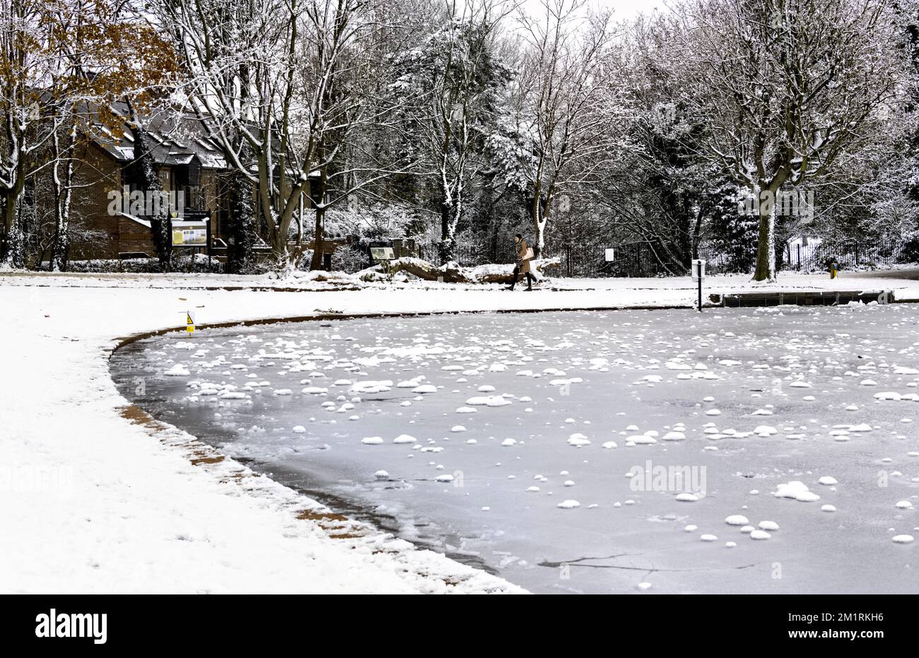 Verulamium Park St. Albans showing the frozen lake and beautiful snow ...