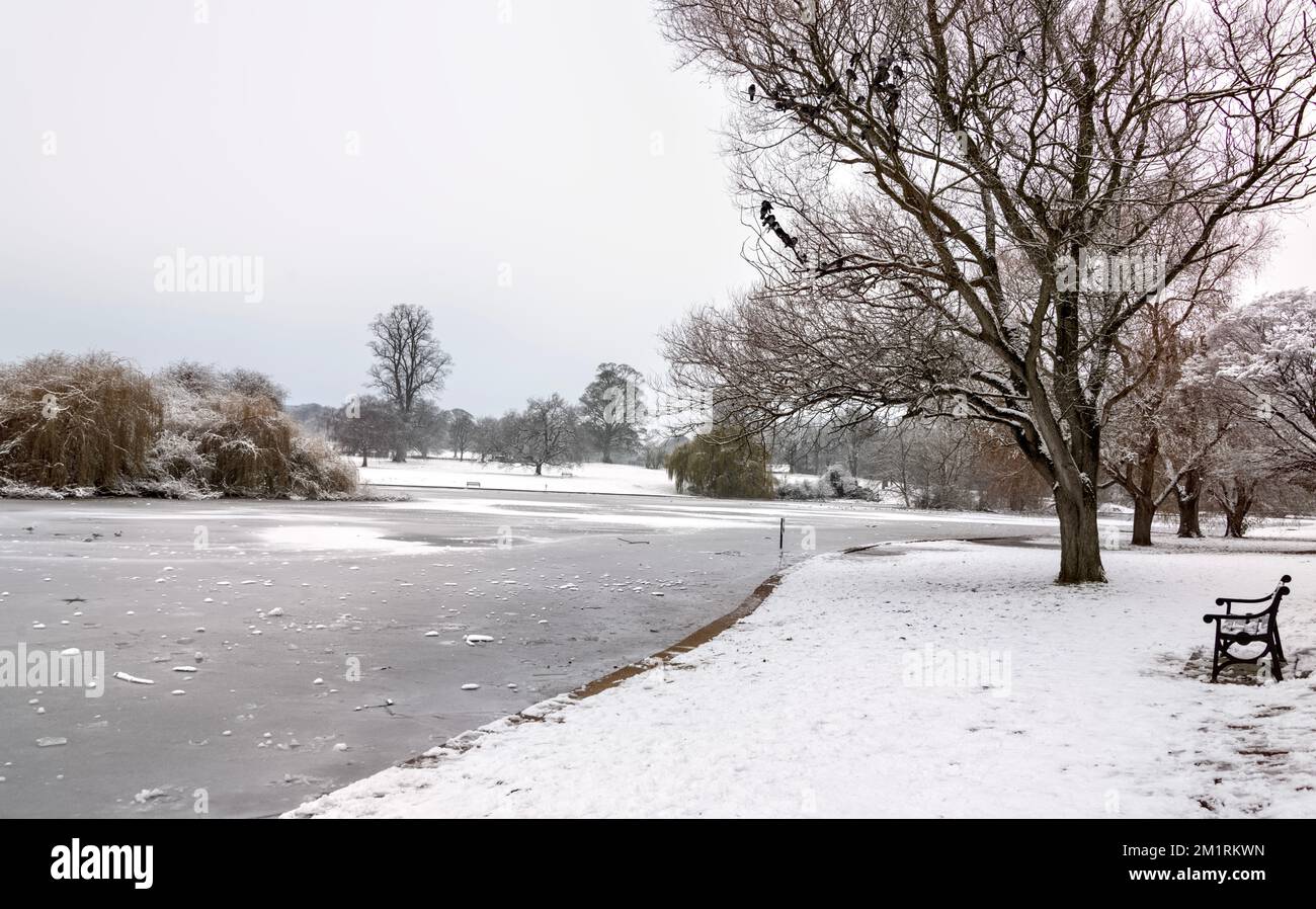 Verulamium Park St. Albans showing the frozen lake and beautiful snow ...
