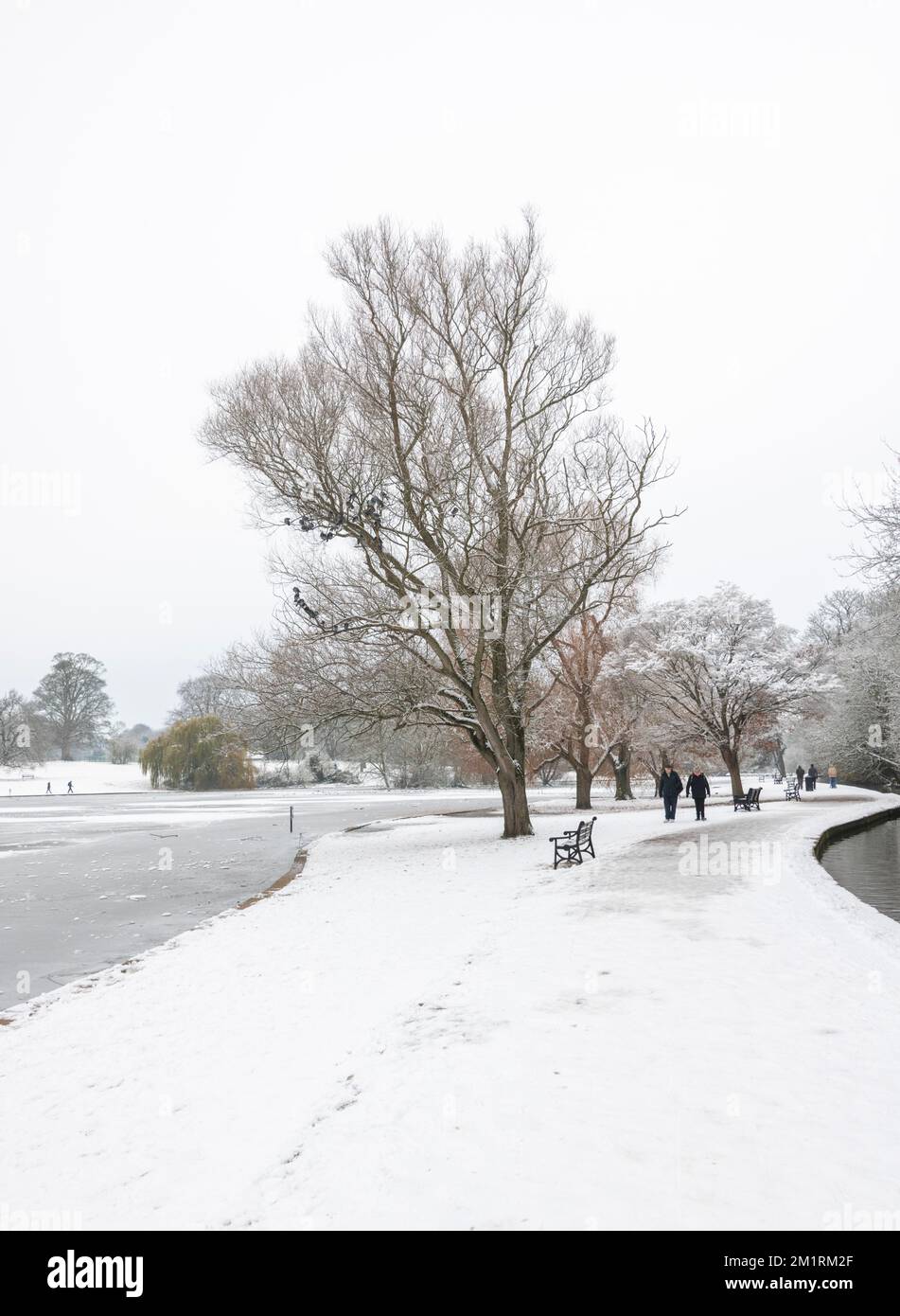 Verulamium Park St. Albans showing the frozen lake and beautiful snow ...