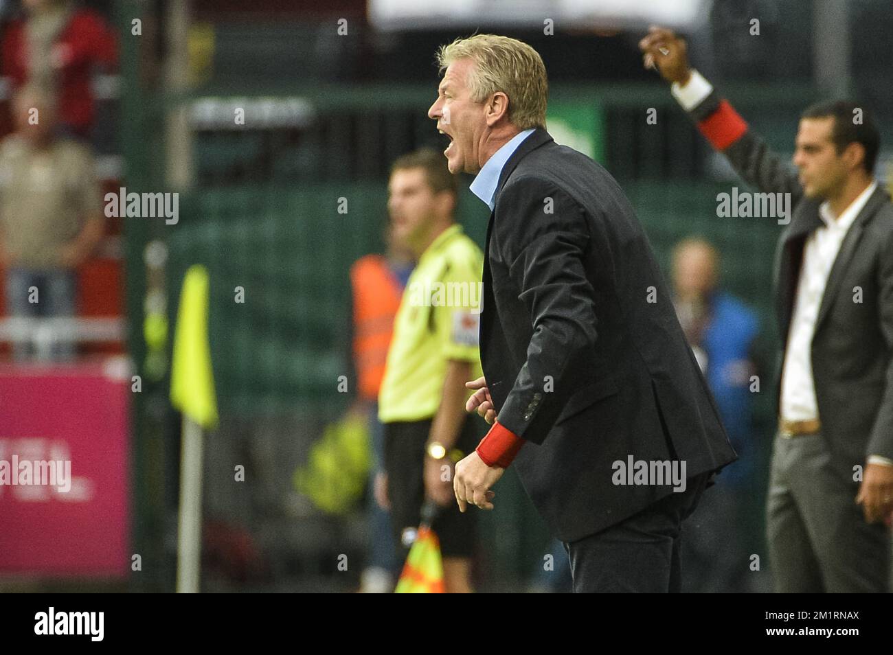 Lokeren's head coach Peter Maes pictured during the Jupiler Pro League ...