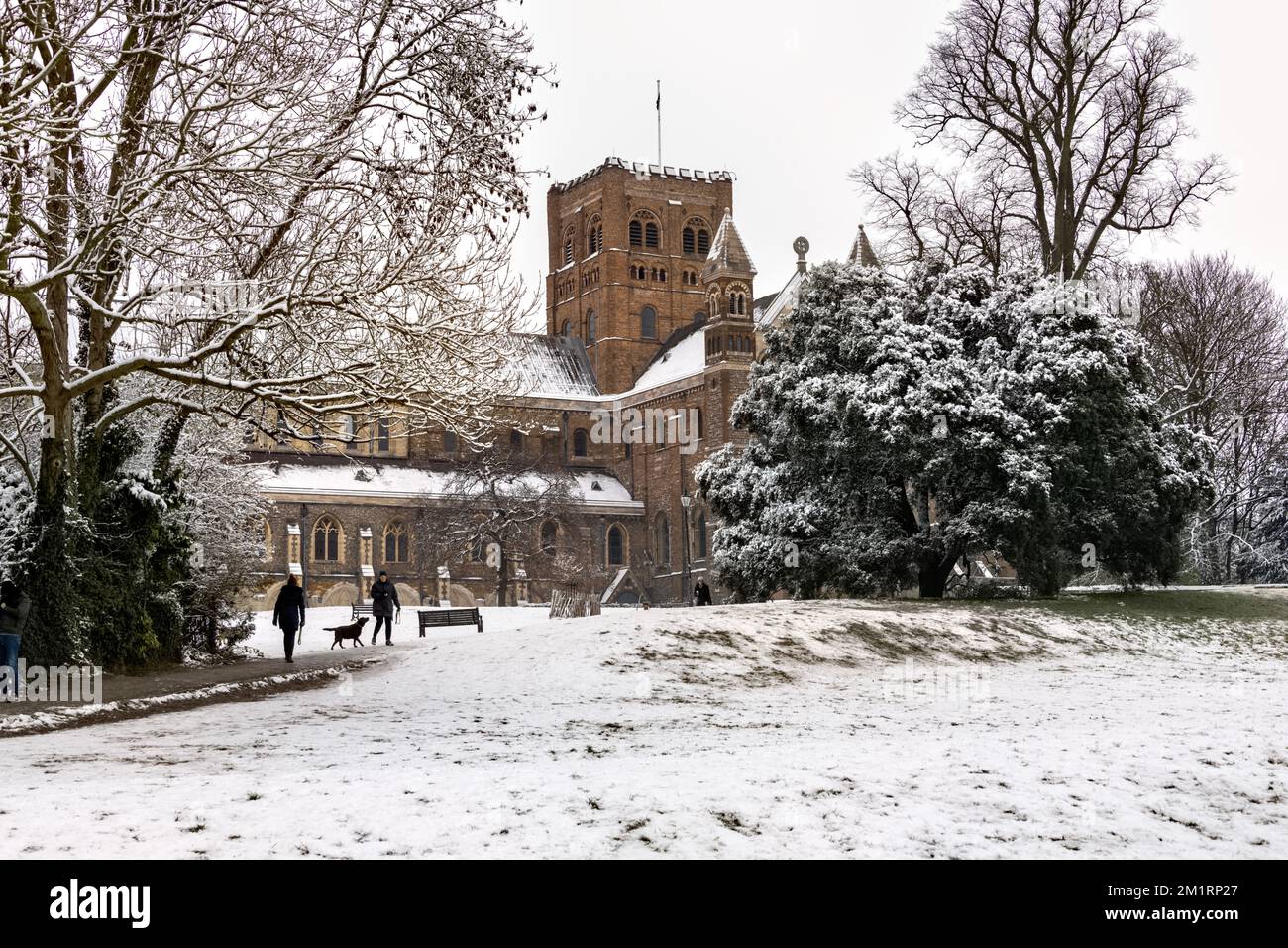St. Albans Cathedral, also known as St. Albans Abbey, side elevation ...
