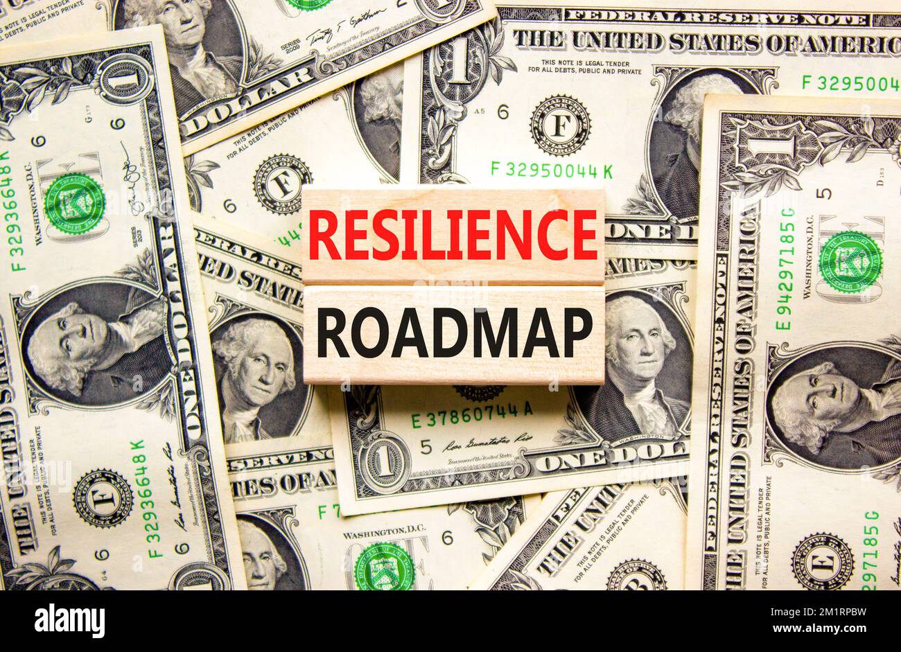Resilience roadmap symbol. Concept word Resilience roadmap typed on ...