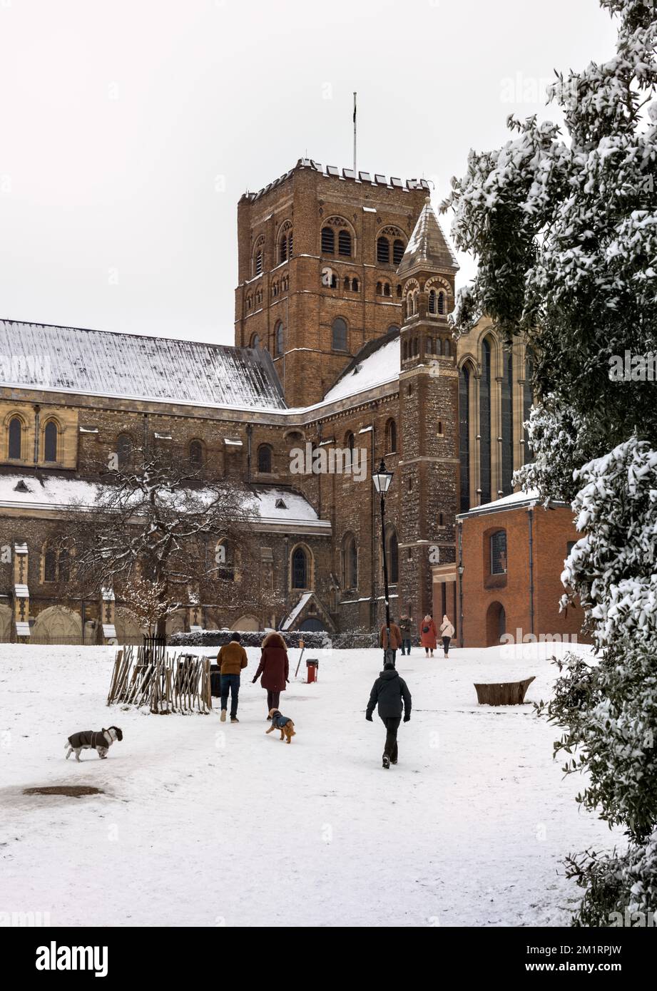St. Albans Cathedral, also known as St. Albans Abbey, side elevation ...