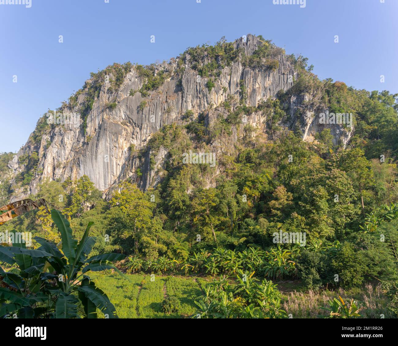 Scenic landscape view of karst or limestone mountain and cliff with ...