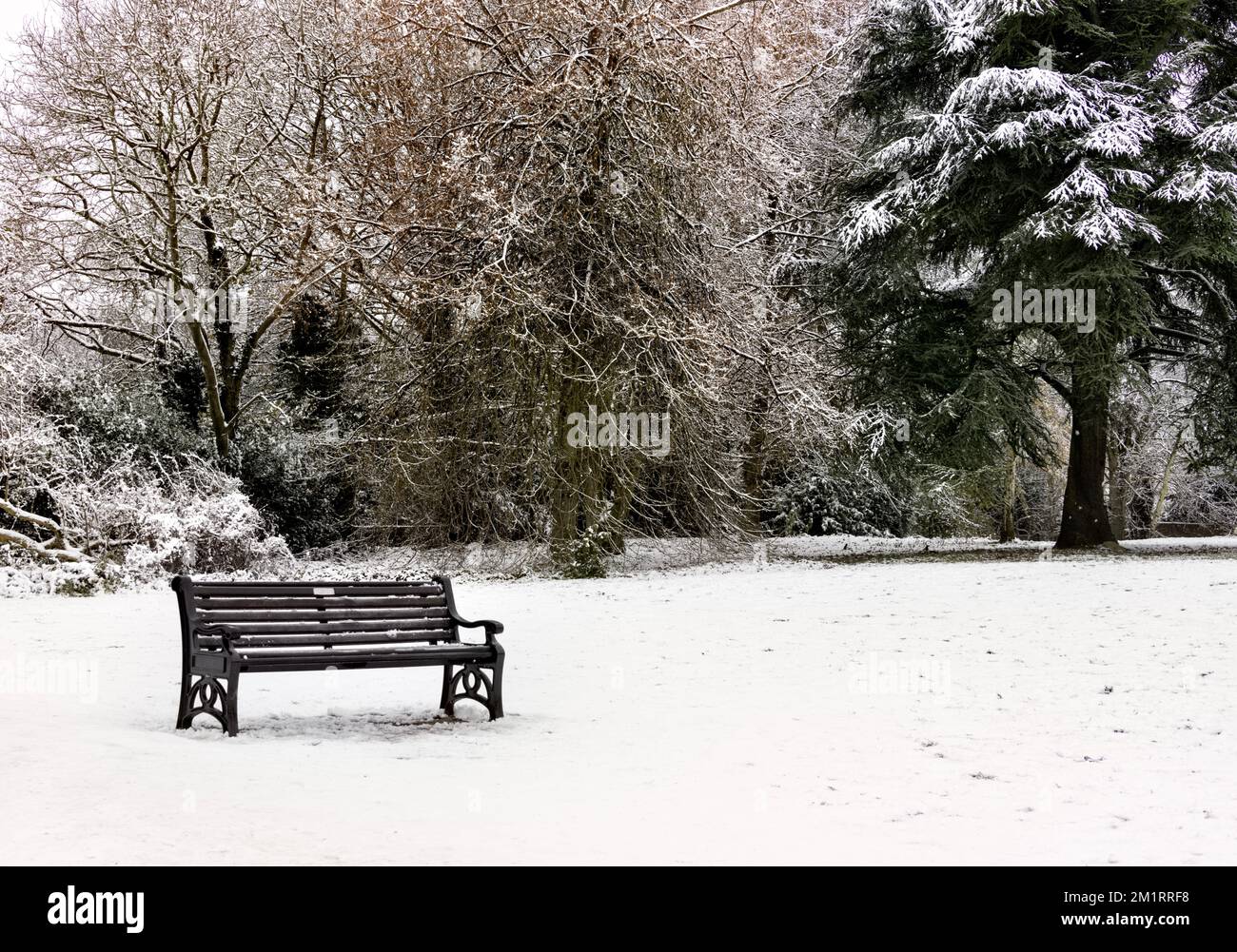 Snow covered grounds at the rear of St. Albans Cathedral, Hertfordshire ...