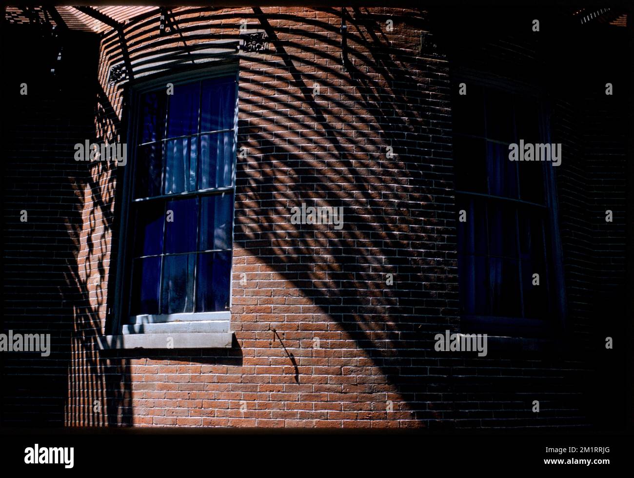 Beacon Street window, Boston , Windows. Edmund L. Mitchell Collection ...