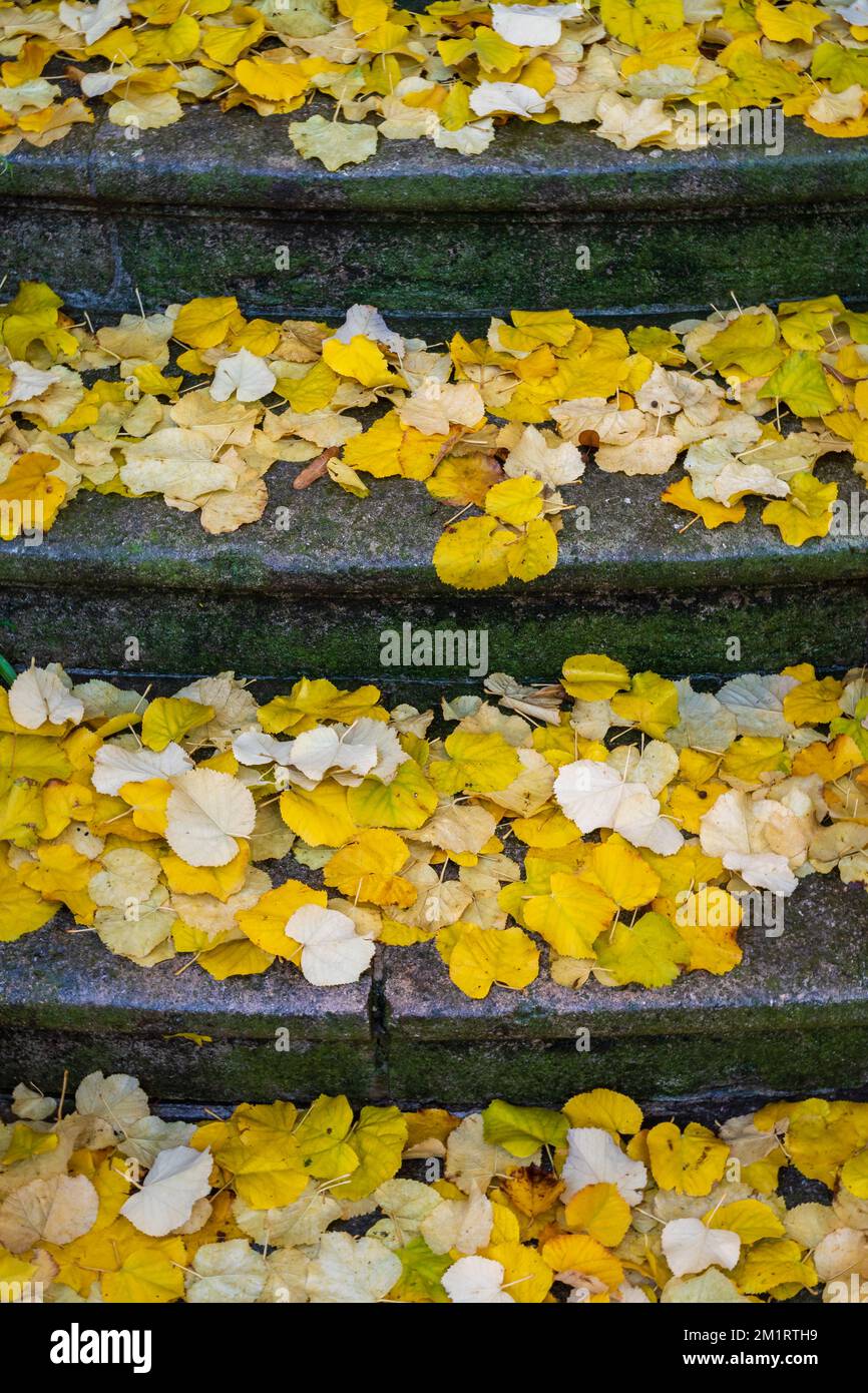Golden steps hi-res stock photography and images - Alamy