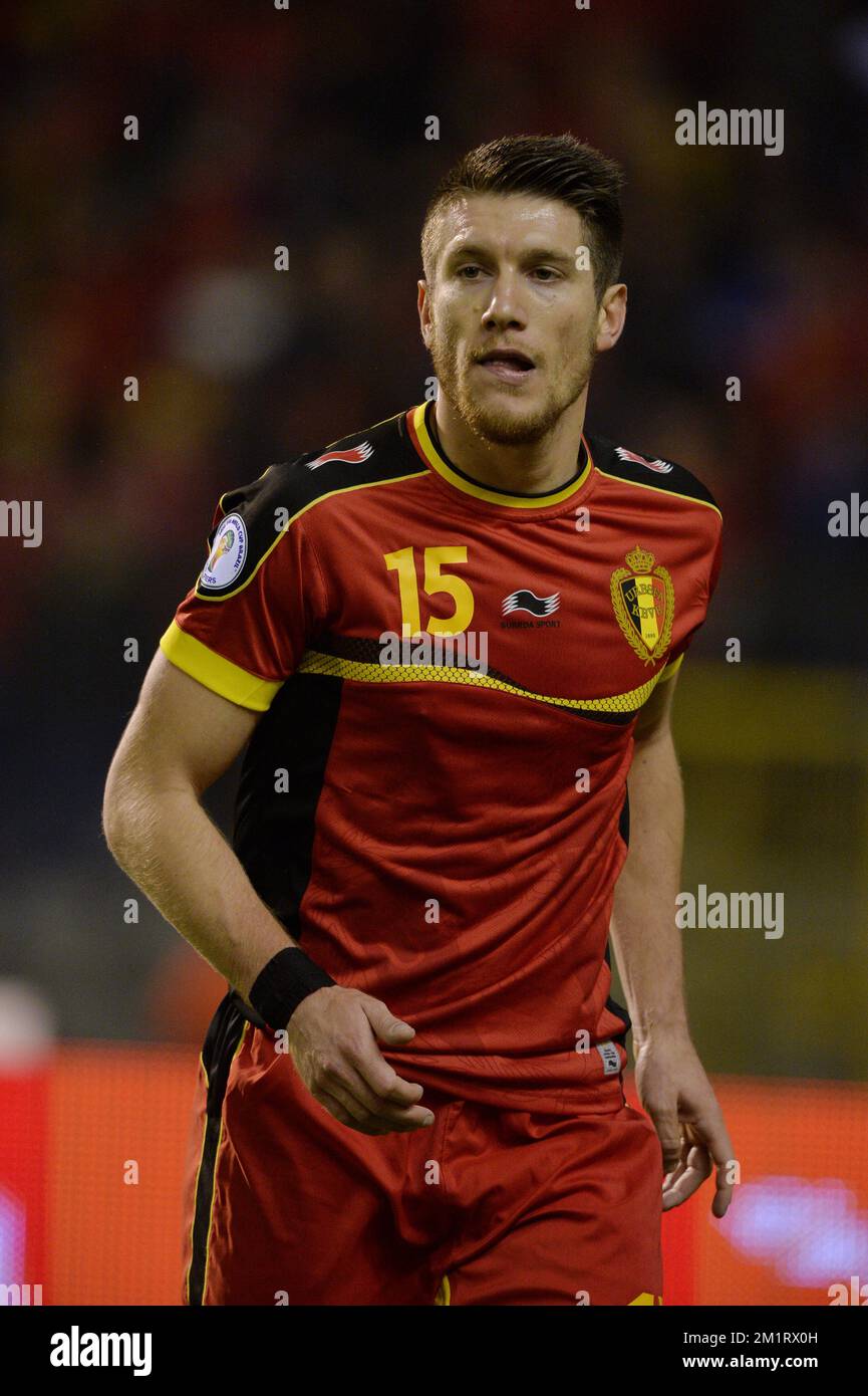 Belgium's Sebastien Pocognoli in action during a the match between ...