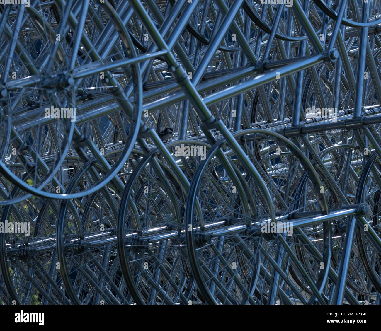 Life in a steel maze Stock Photo - Alamy
