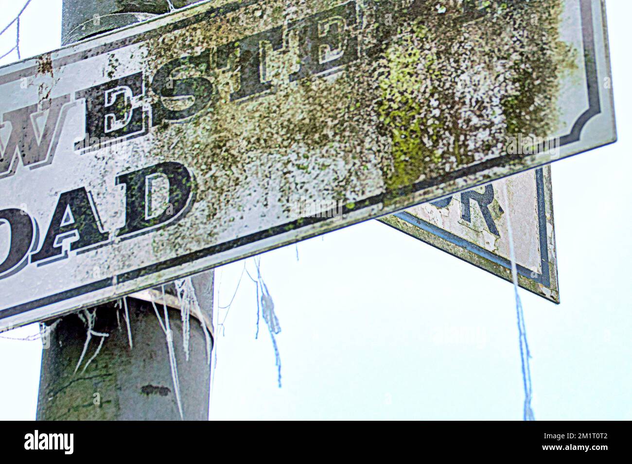 Srting hi-res stock photography and images - Alamy