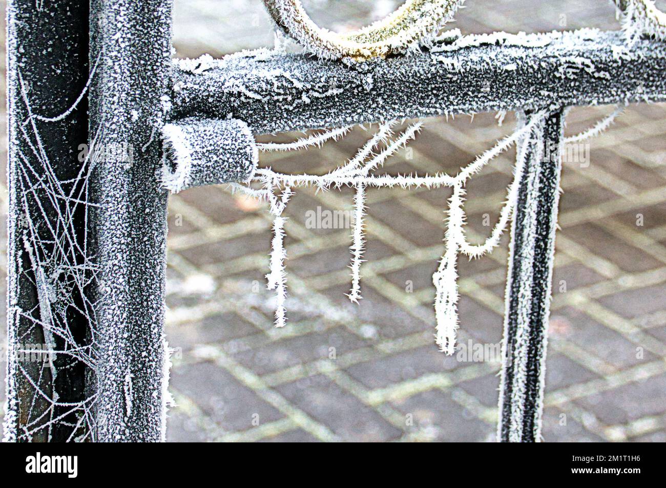 Srting hi-res stock photography and images - Alamy