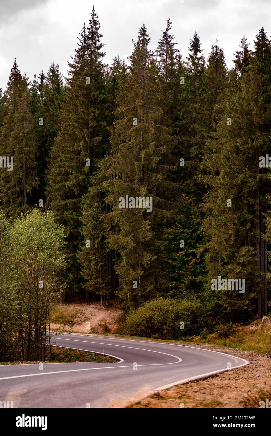Beautiful mountain curved road in the forest, Landscape with an empty ...