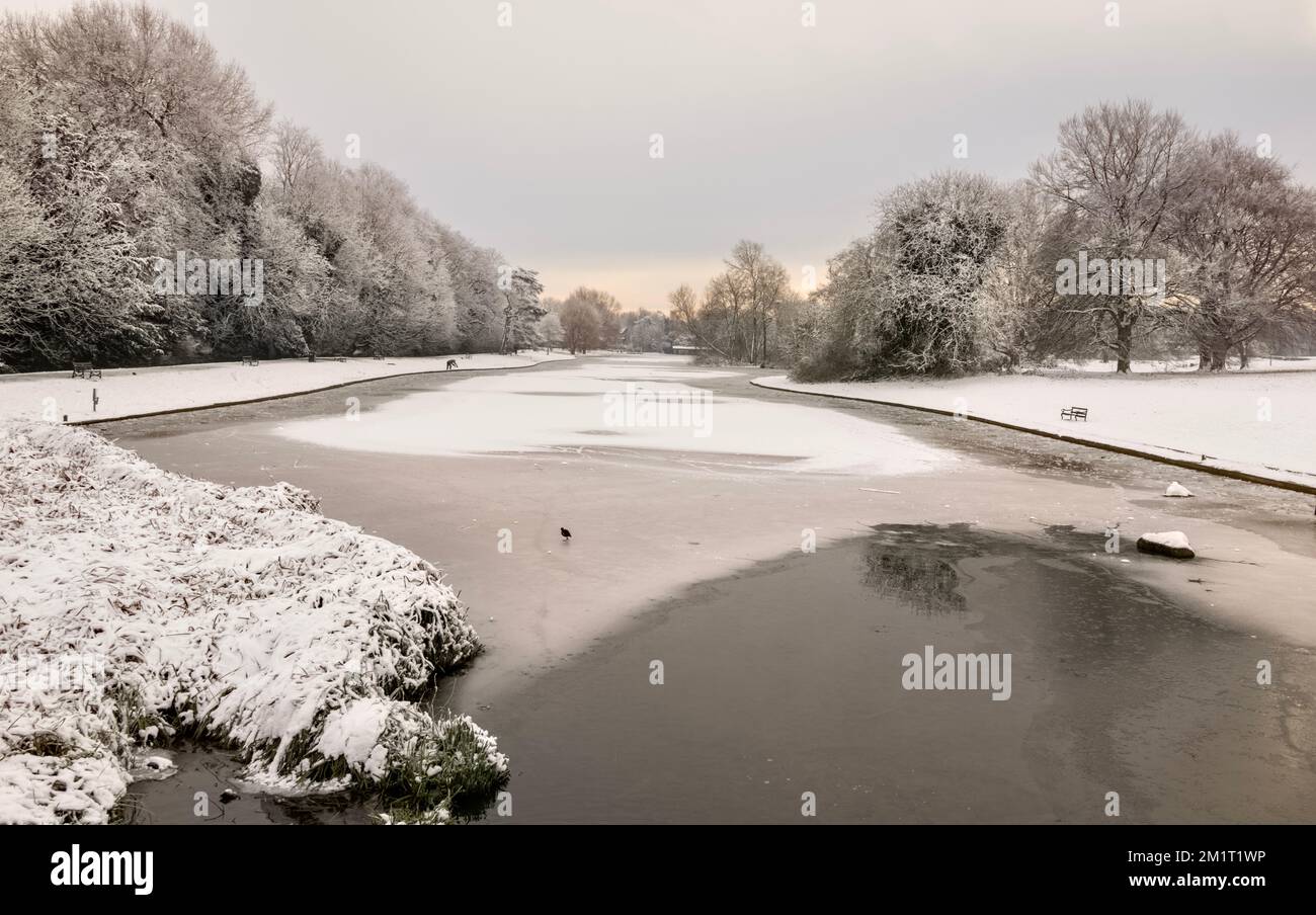 Verulamium Park St. Albans showing the frozen lake and beautiful snow ...
