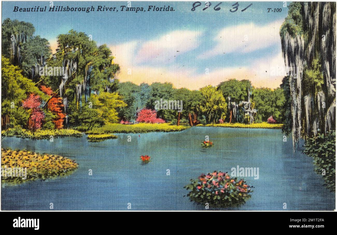Beautiful Hillsborough River, Tampa, Florida , Rivers, Tichnor Brothers ...