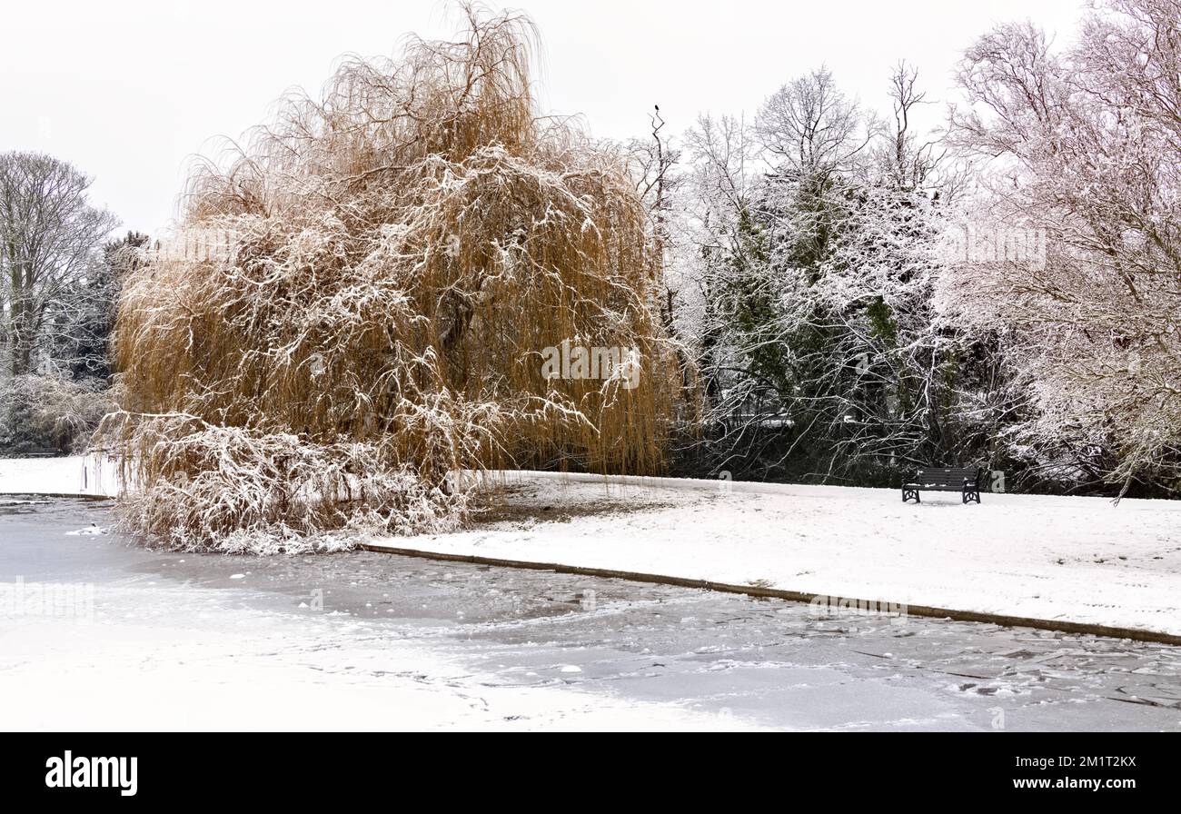 Verulamium Park St. Albans showing the frozen lake and beautiful snow ...