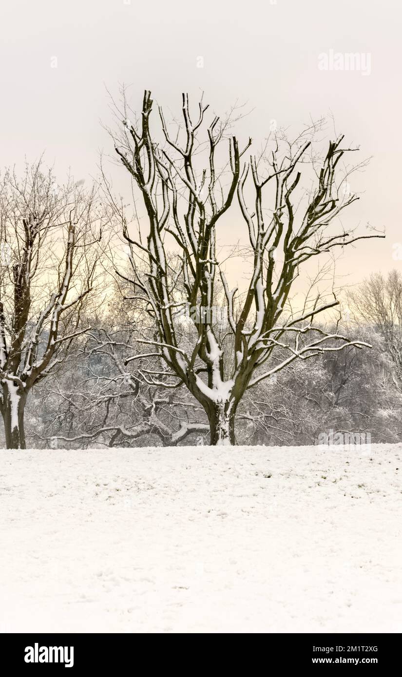 December 2022 st albans hi-res stock photography and images - Alamy