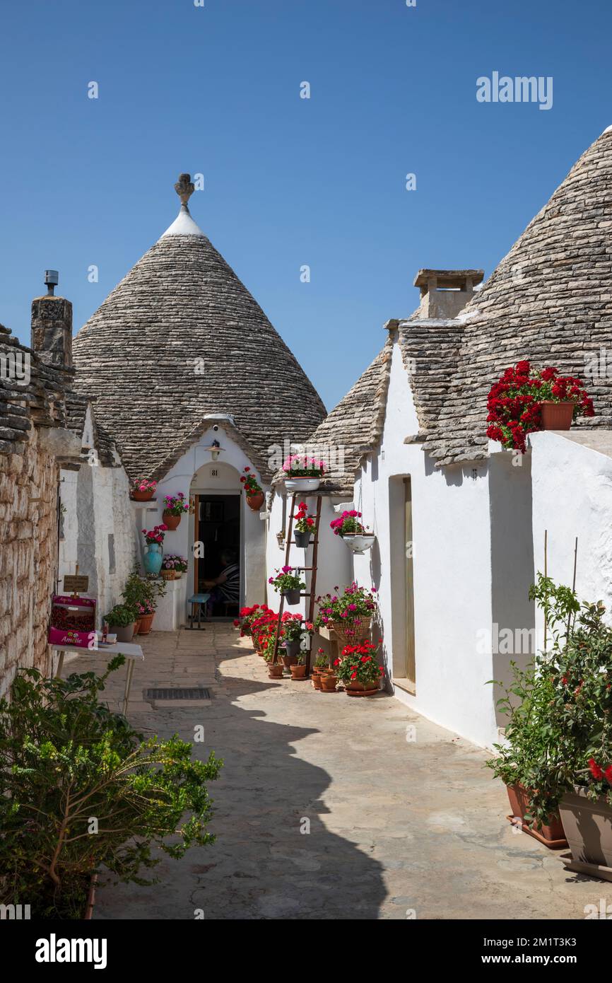 Whitewashed trulli houses along street in the old town, Alberobello ...