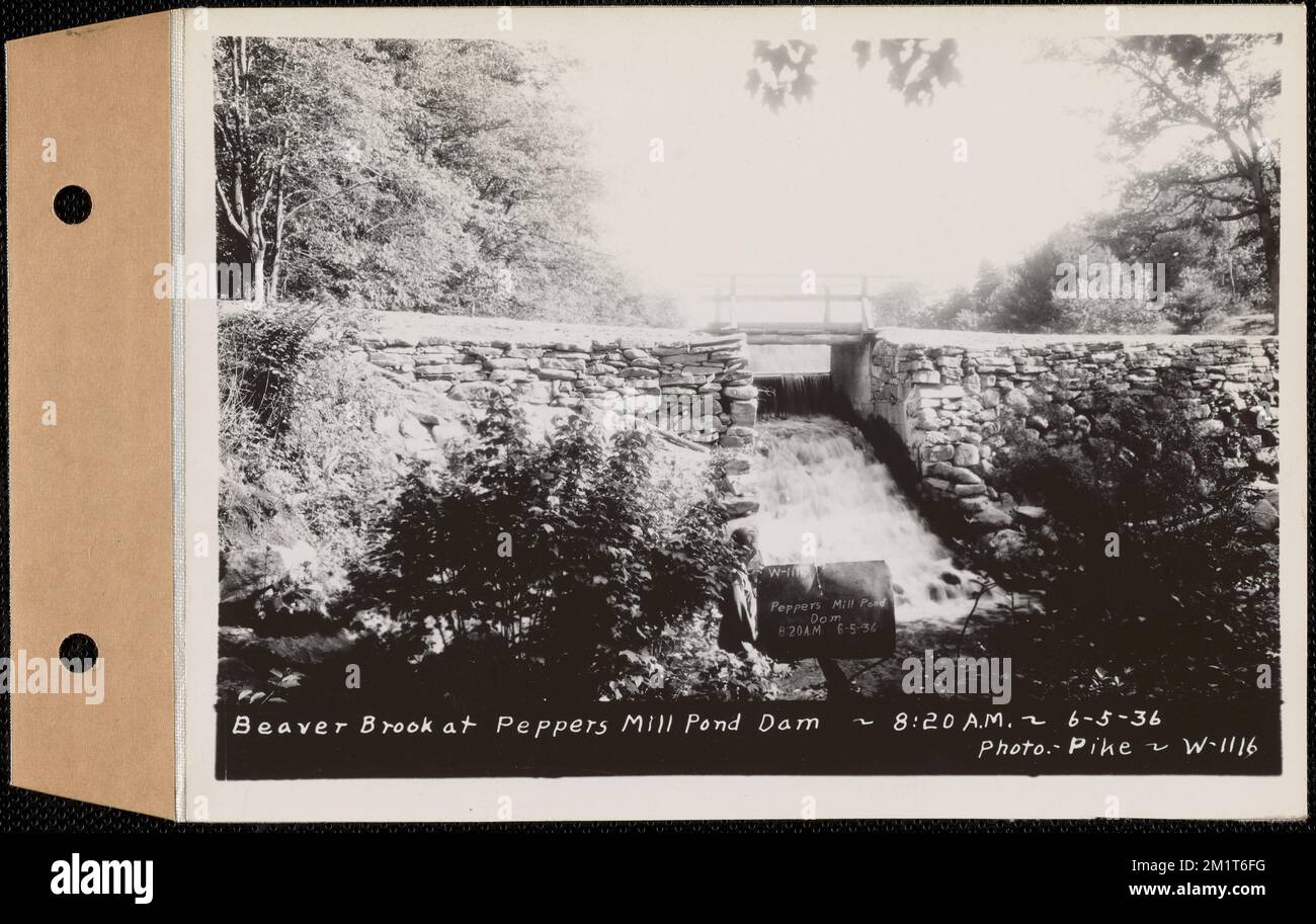 Beaver Brook at Pepper's mill pond dam, Ware, Mass., 8:20 AM, Jun. 5 ...