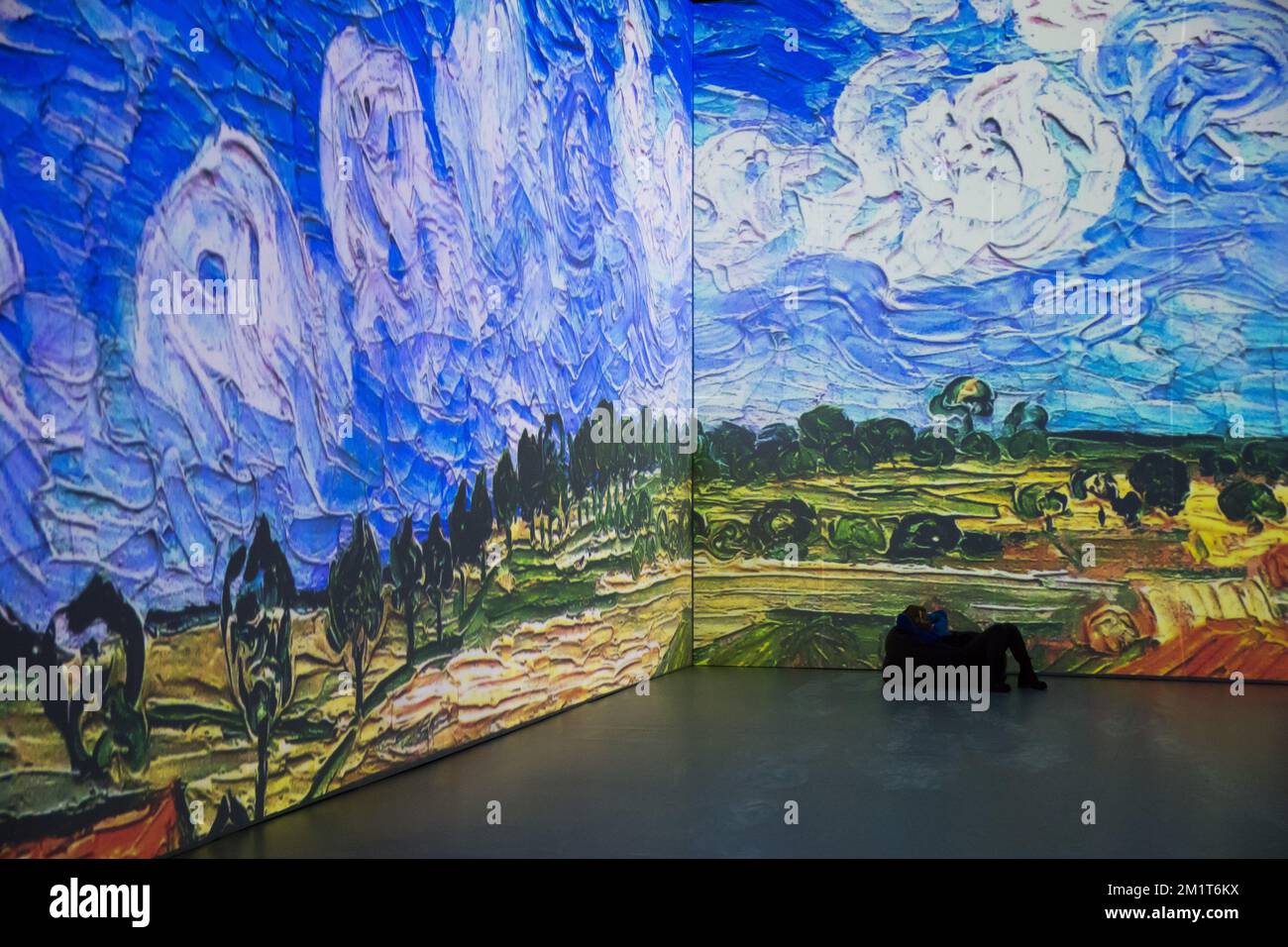 Vincent van gogh digital paintings hi-res stock photography and images ...