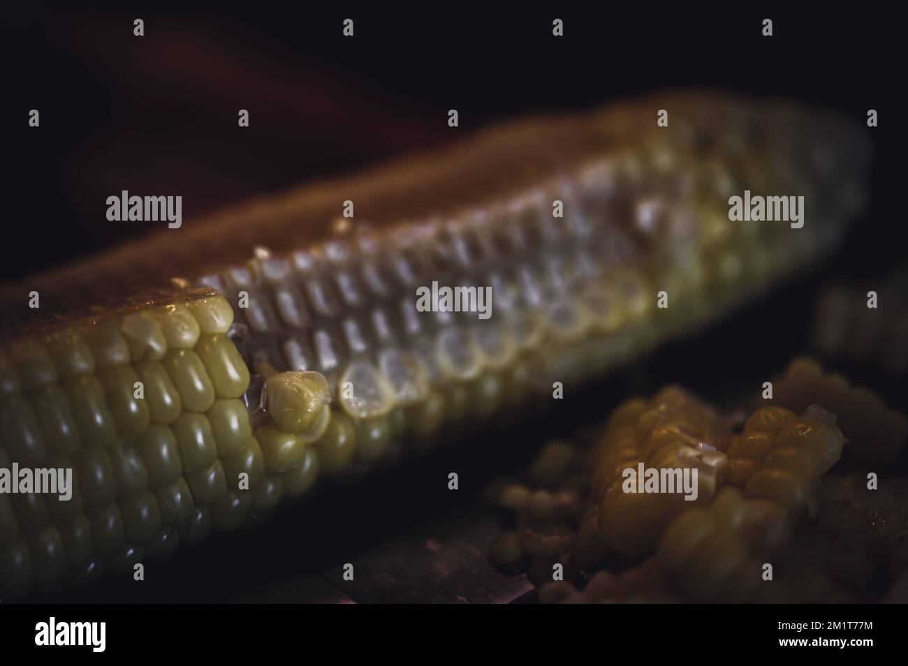 Using a knife to remove kernels from the cob of an ear of sweet corn ...